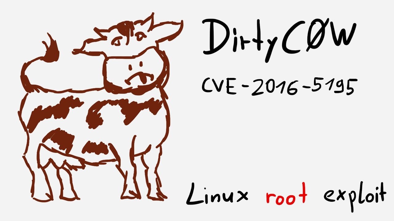 Dirty COW: Zero day Vulnerability in Critical Linux Kernel - Cyber Soochna Dirty COW: Zero day Vulnerability in Critical Linux Kernel - Cyber Soochna